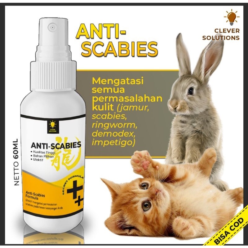 Scabies Demodex Impetigo Cat Fungus Medicine For Lice Parasites Of ...