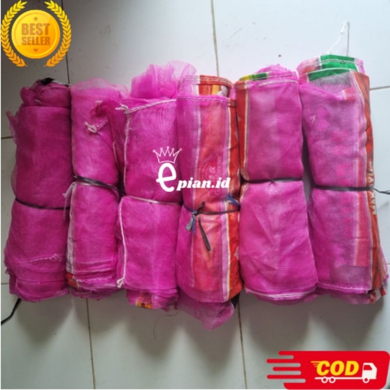 10 Brongsong Fruit Longan 20 KG/ Openwork Onion Sack/ Waring Pest ...
