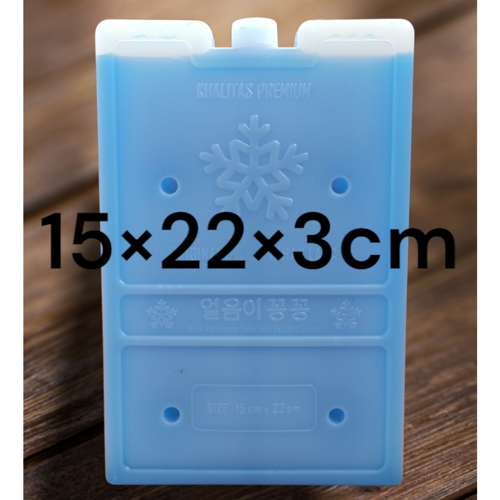 Large Blue Ice Pack Size 15x22x3 Cm | Shopee Philippines