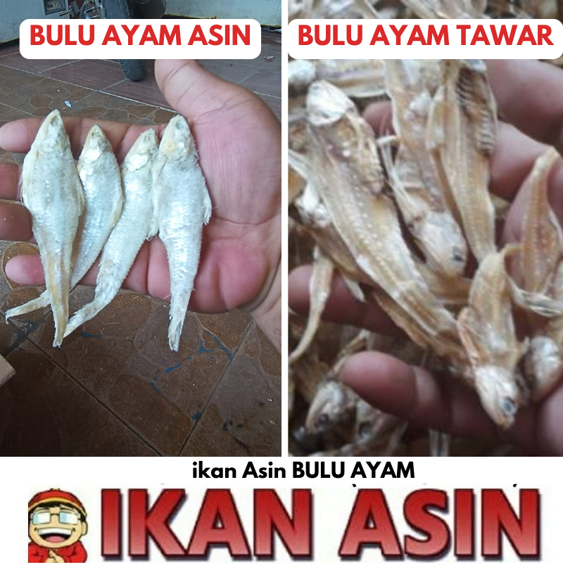 Chicken FEATHER Salted Fish 1 kg TOE BAGAN brand FIRE | Shopee Philippines