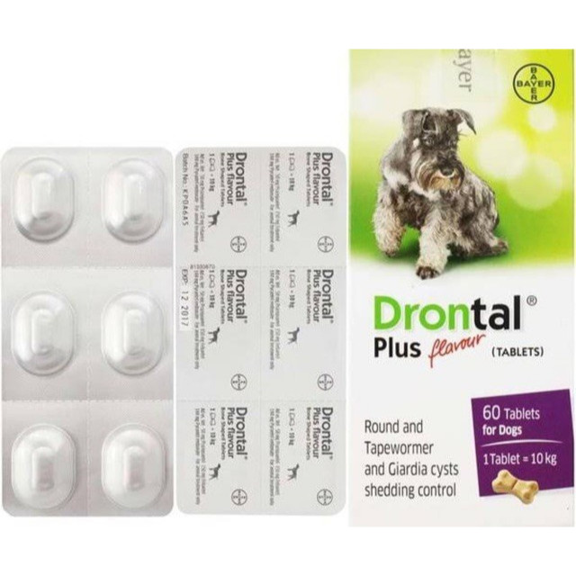 Drontal DOG Worm Medicine DOGY | Shopee Philippines