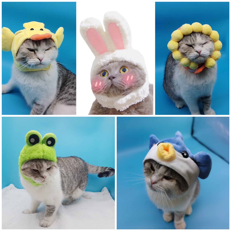 Dog cat hat, dog cat costume, cat dog Character, cute animal hat ...