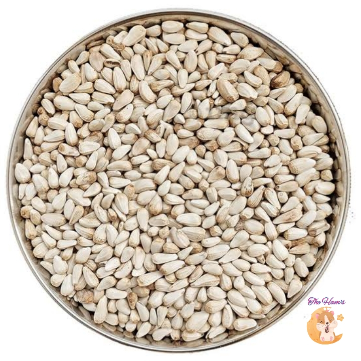 (The Ham's) Safflower Seed Safflower Seed Food Feed snack Parrot ...