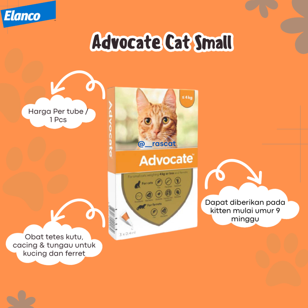 Advocate Cat Small Weight 0 - 4 Kg / Kitten Cat Flea Medicine 1 tube ...