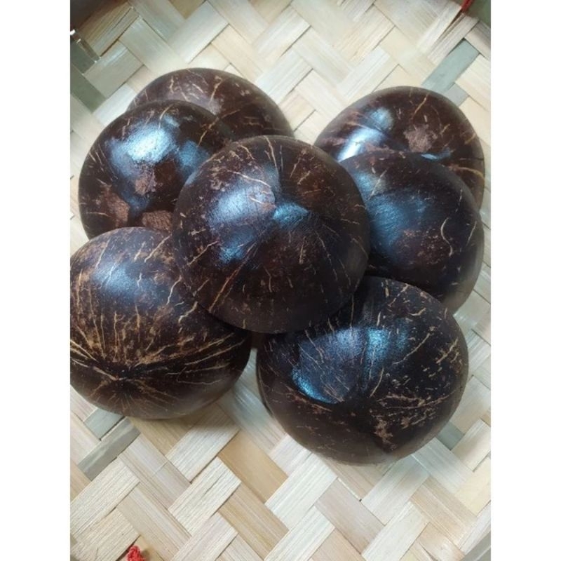 Dancing shell, good quality dance shell, shell | Shopee Philippines