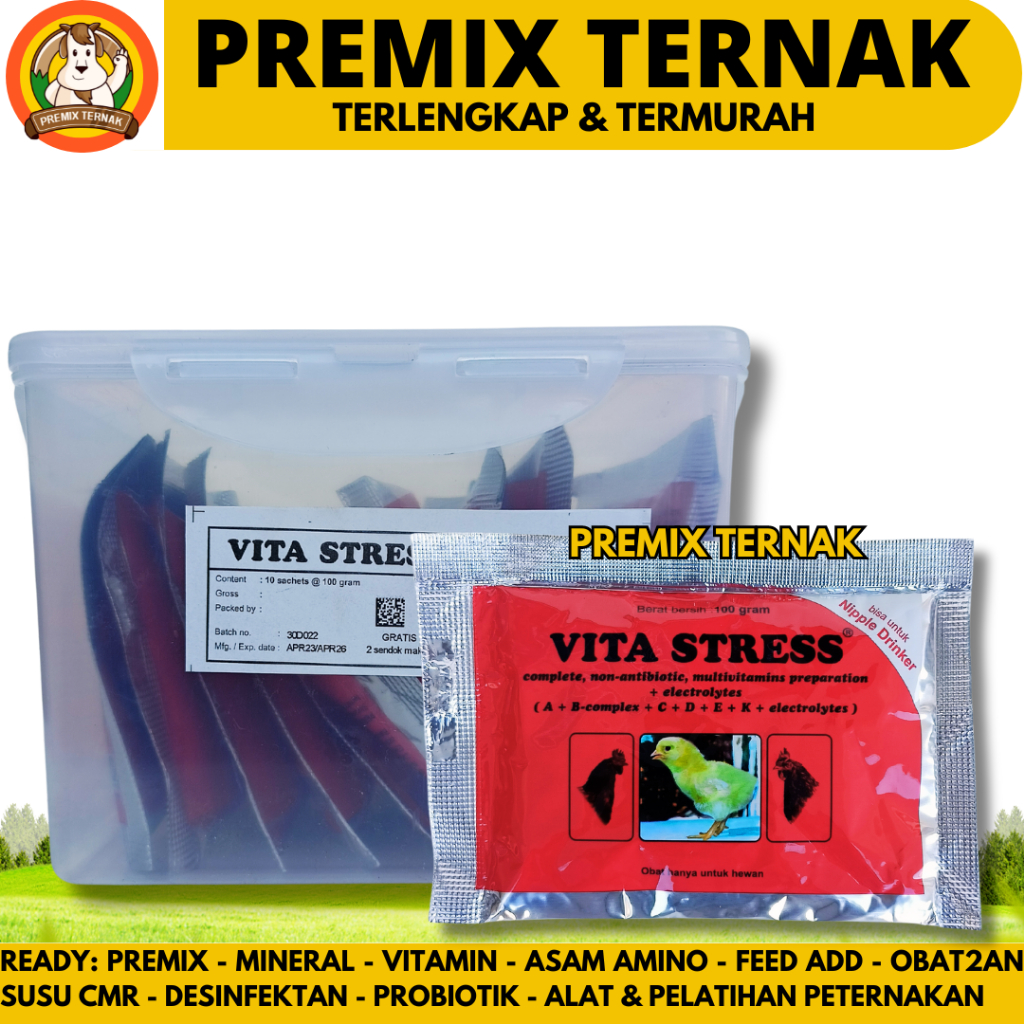 VITA STRESS 100 GRAM 1 BOX (10 SACHETS) - Anti Stress Vitamins for ...