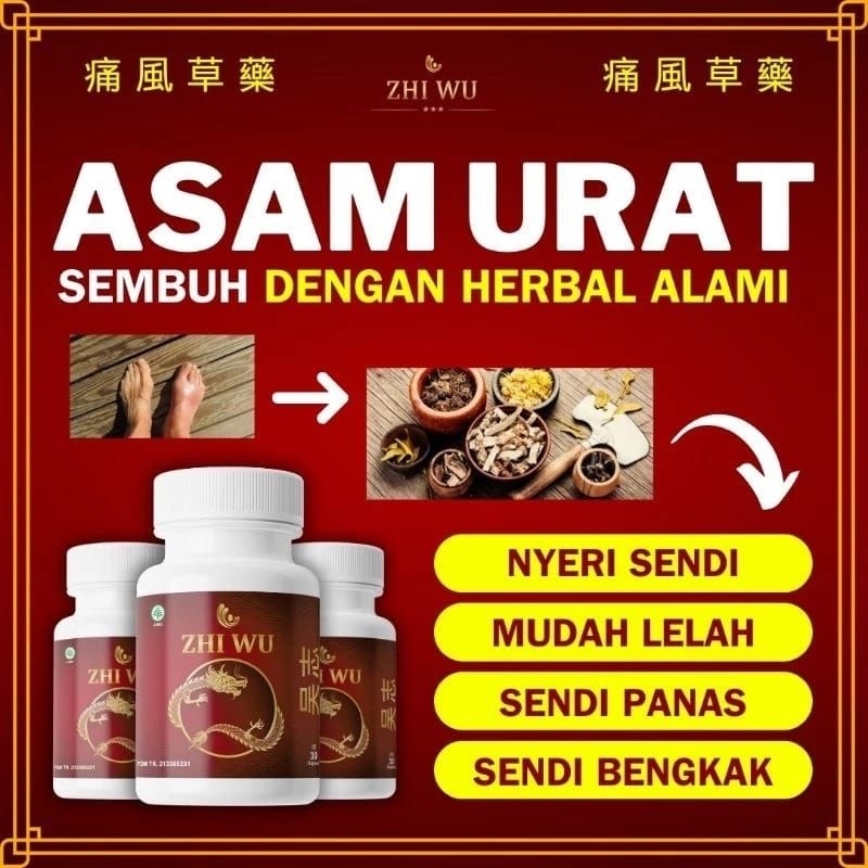 Zhi WU Original 30 Joint Pain Capsules, Overcoming Gout, Czech ...
