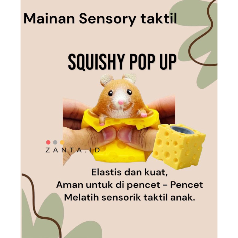 Squishy Pop Up | Tactical Sensory Toys | Silicone Rubber Cheese Rat ...