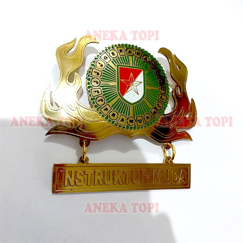 Young Instructor Scout Badge Standby Young Instructor Pin Standby ...