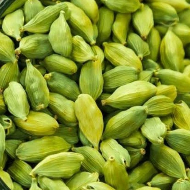 HIJAU Jumbo Green Cardamom, Green Cardamom, Arabic Cardamom Indian ...