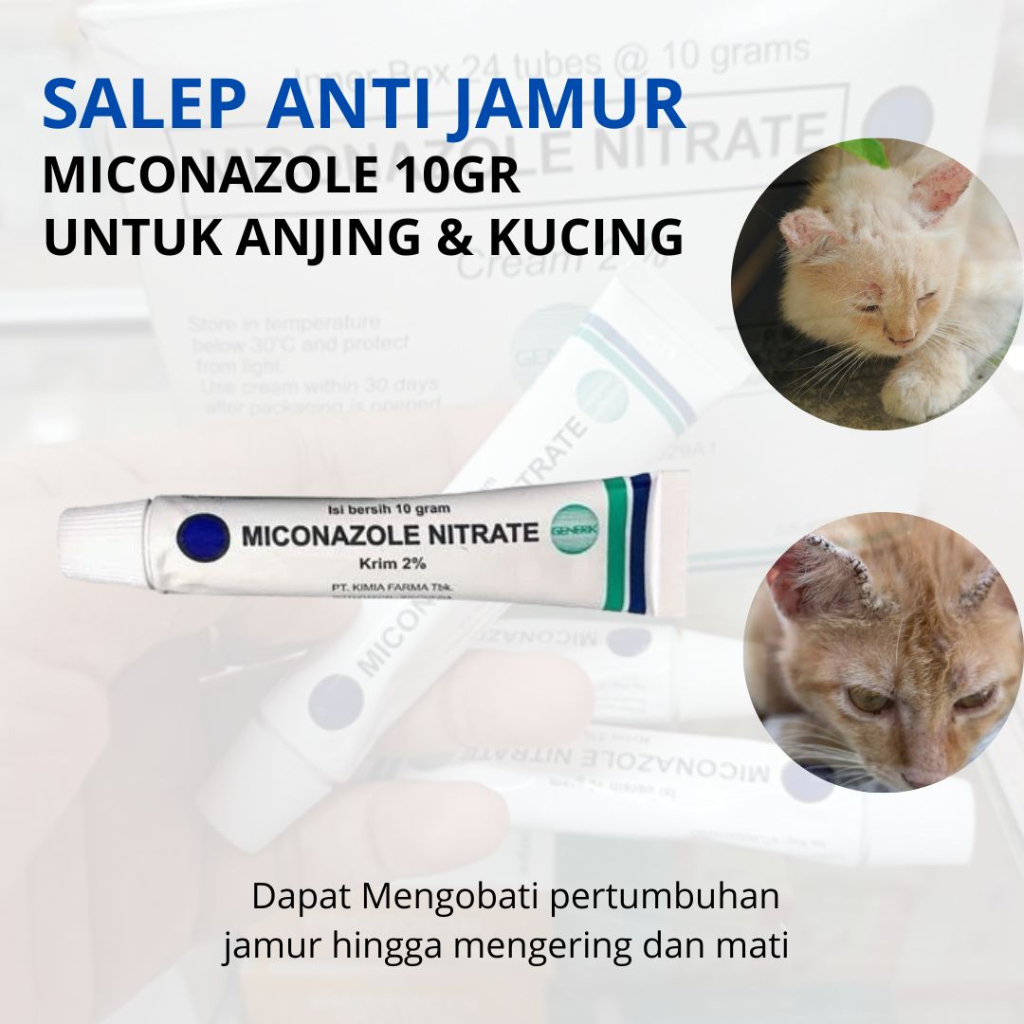 MICONAZOLE Anti-Fungal Ointment for Cats and Dogs 10gr | Shopee Philippines