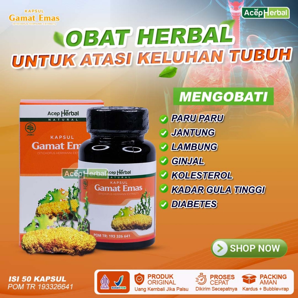 Gold Gamat Capsules Overcome The Lungs Of The Heart Of The Stomach ...
