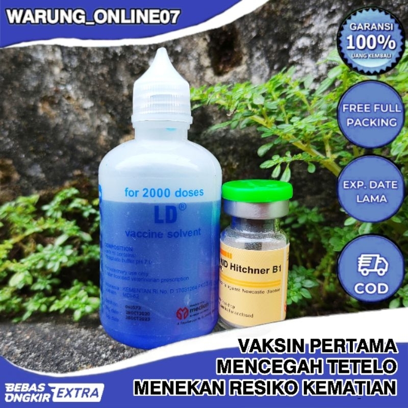 Medivac ND Hitchner B1 Vaccine 2000 Dose First Chicken Vaccine DOC Anti ...