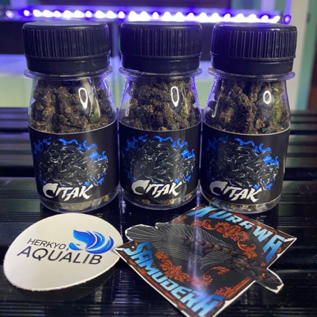 Pure Frog Pellets channa auranty Feed | Shopee Philippines