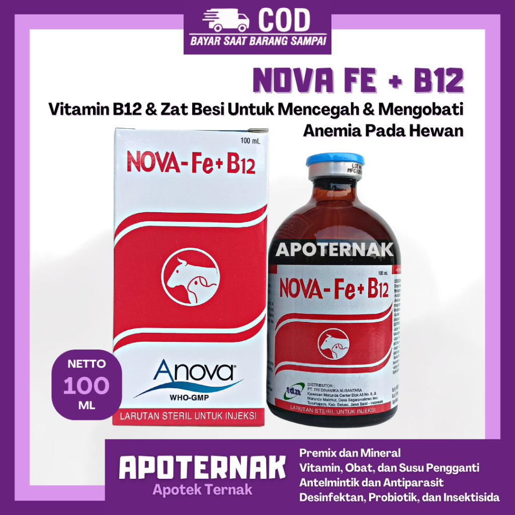 Nova Fe + B12 (Anti Anemia) Inj 100 ml - Vitamin B12 and Iron for ...