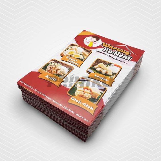 A4 Size Brochure / Leaflet Printing Package - package contains 100 ...