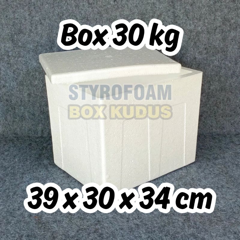 Box 30 KG - New Styrofoam Box Storage Packing Frozen Food Box Fish ...