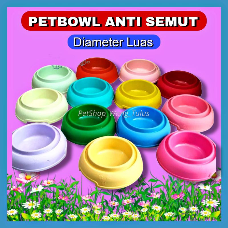 Pswt- Anti-Ant Cat Dog Drinking Feeder Single Petbowl Dog Rabbit Guinea ...