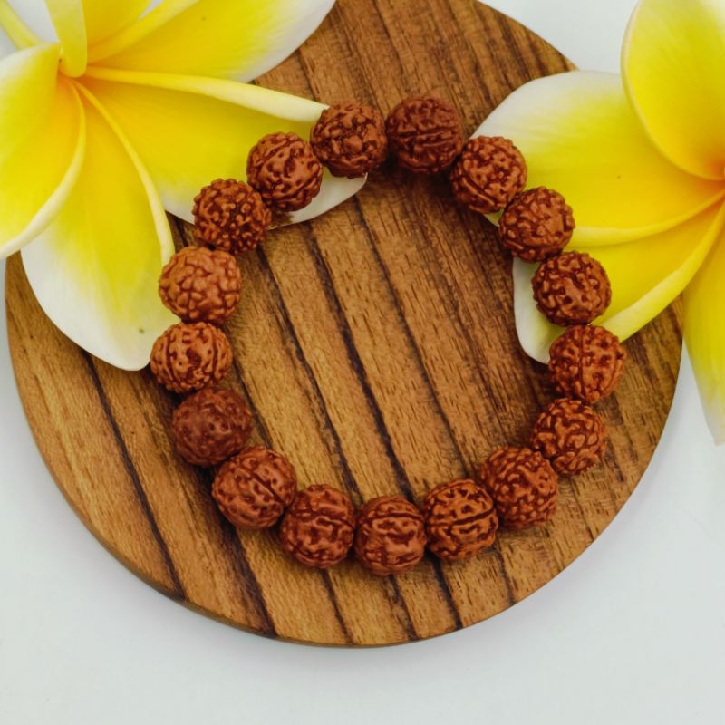 Original Balinese Genitri Rudraksha Bracelet | Shopee Philippines