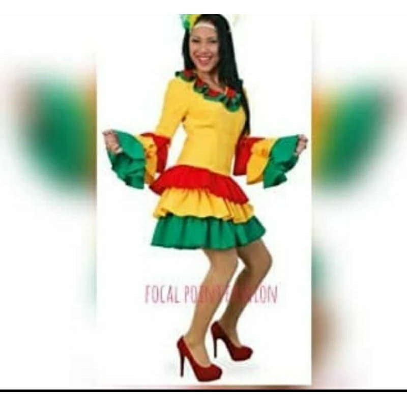 Traditional Brazilian costume for adult women Brazilian united nations ...