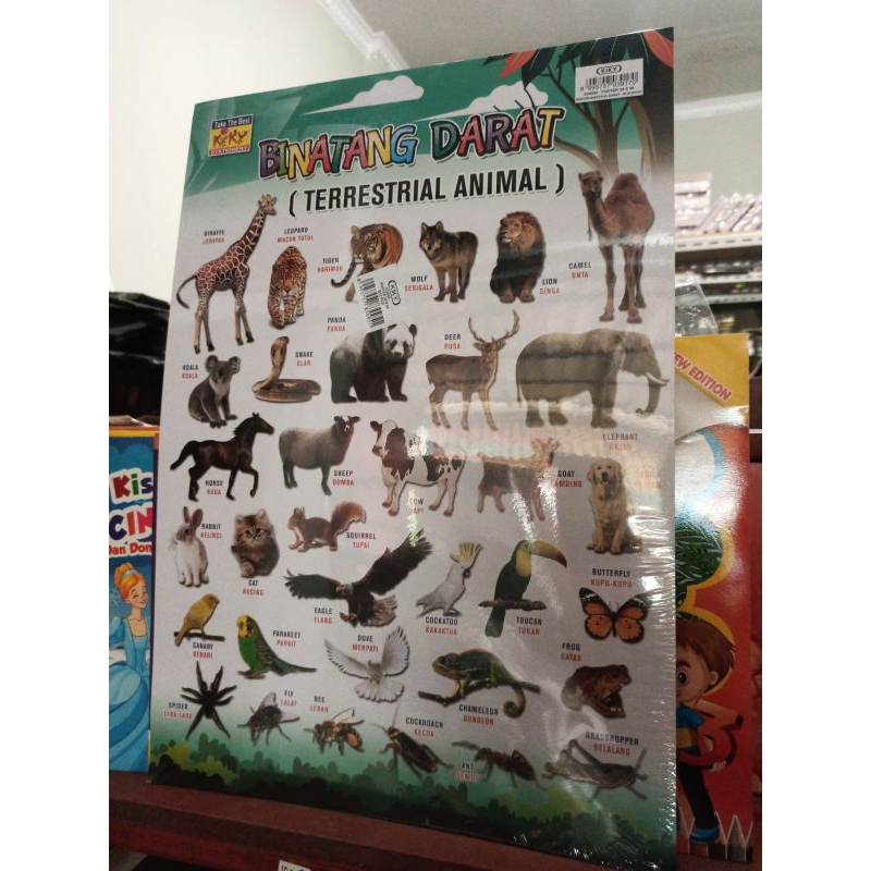 Exclusive Land Animals Children's Poster | Shopee Philippines