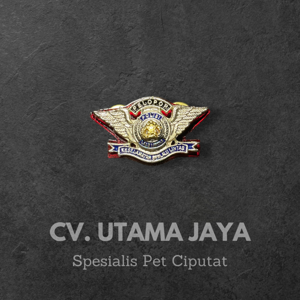 Then Security Pioneer Wing | Then Safety Pioneer Brivet | National ...