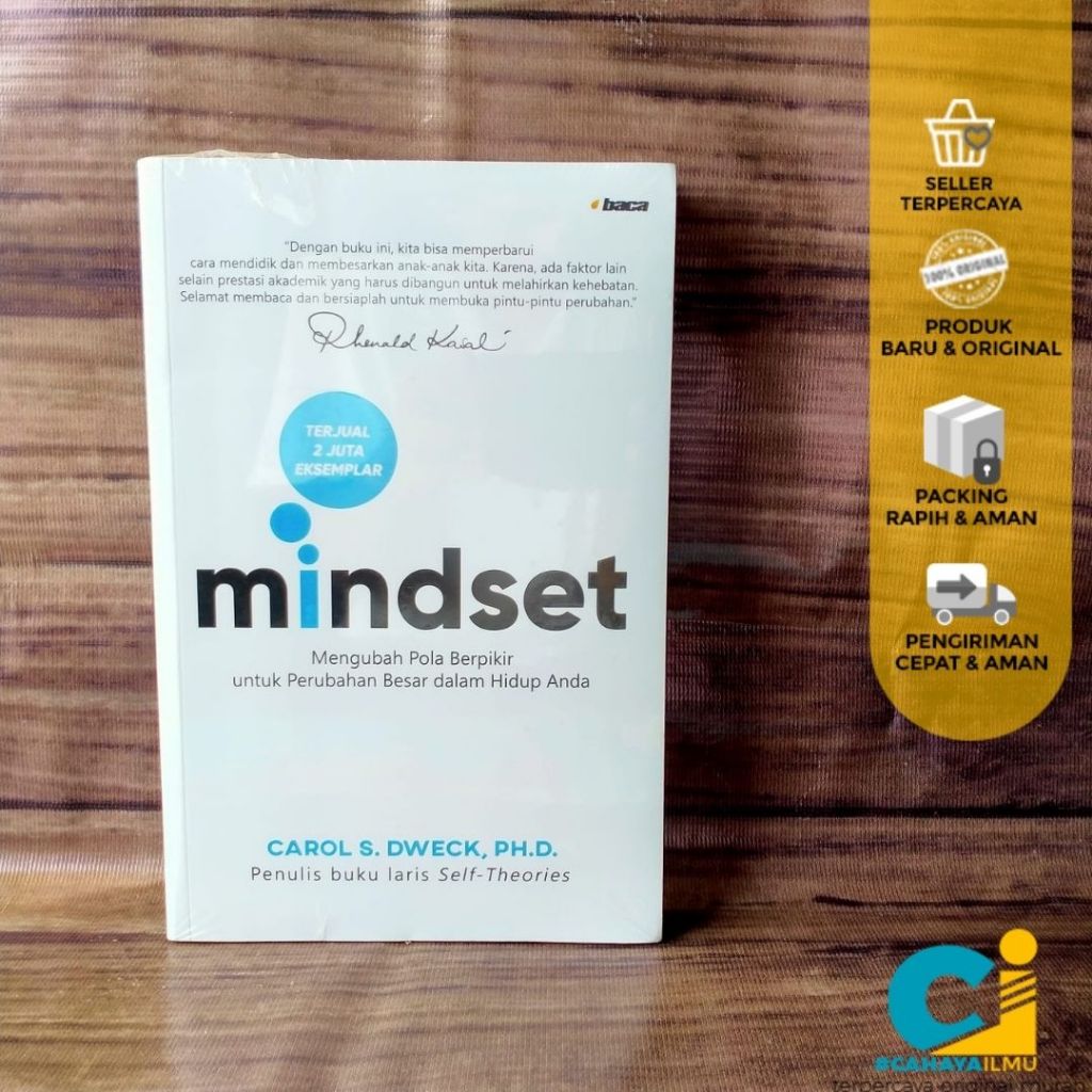 (Original) Mindset - Carol S Dweck (Change Thinking Patterns For Big ...