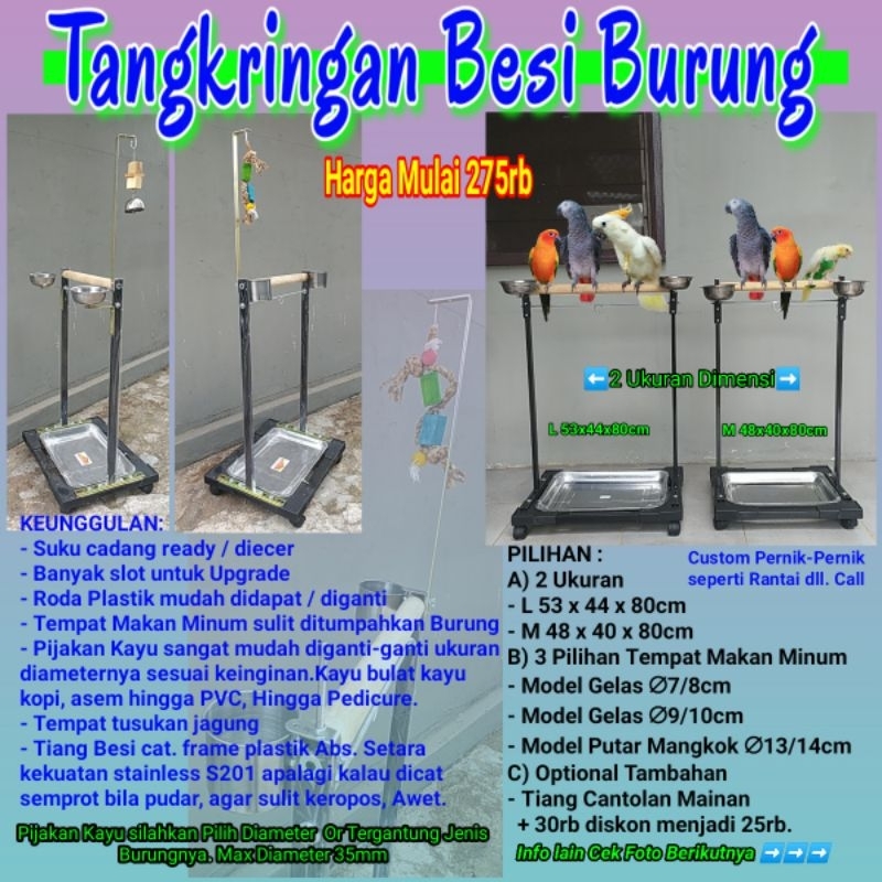 African Gray Iron Parrot Parrot Parrot Sun conure Cockatiel IRN ...