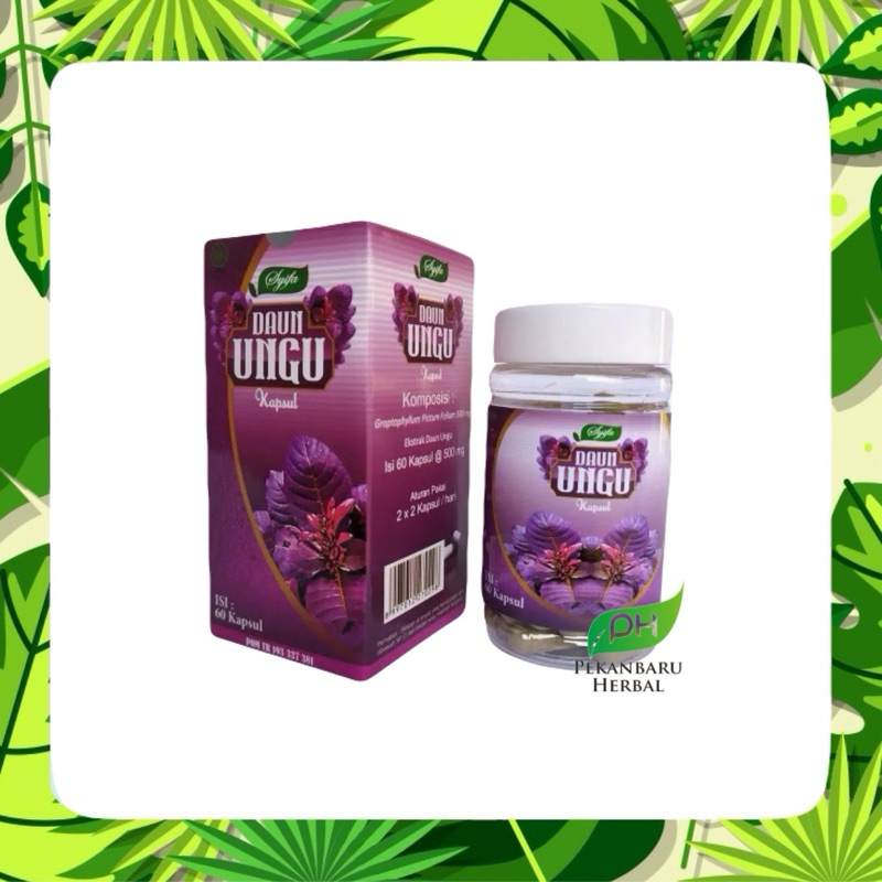UNGU Syifa Herbal Purple Leaf Capsules For Hemorrhoids 60 Capsules ...