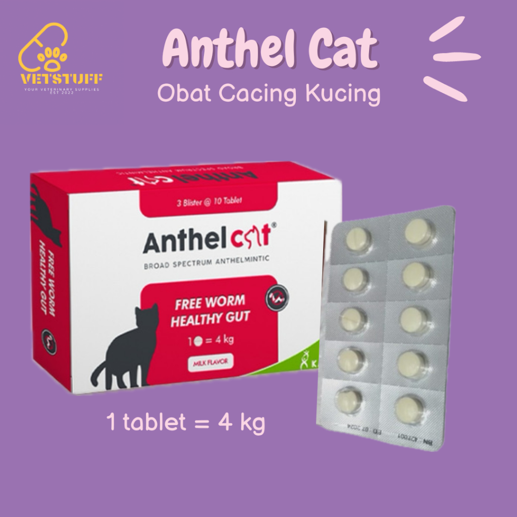 Anthel Cat 1 Tablet - Cat Deworming Medicine Same as Drontal Cat ...