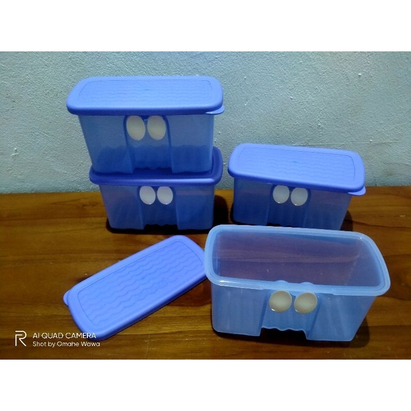 Fridgesmart Tupperware (4pcs) | Shopee Philippines