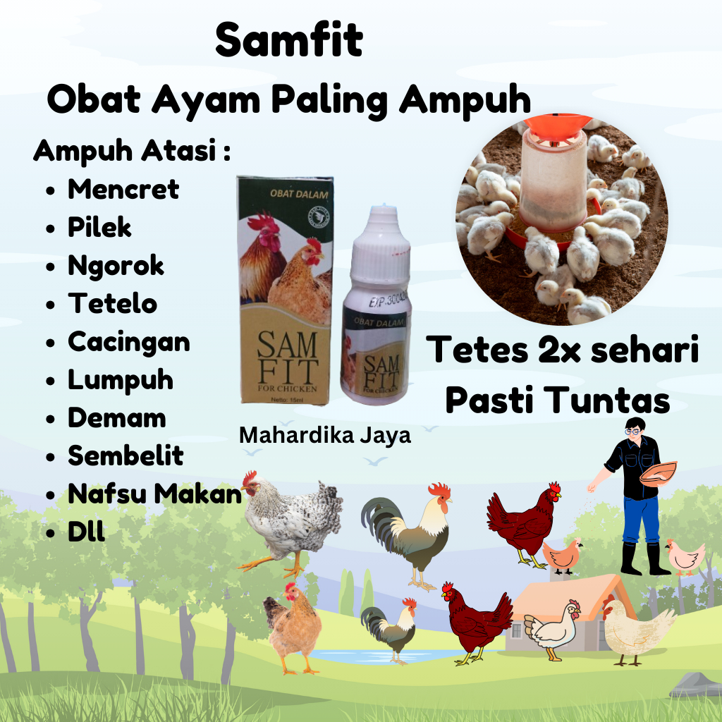 Medicine For Sick Chickens With Yellow Ngorok, Still Cold, Picks Up ...