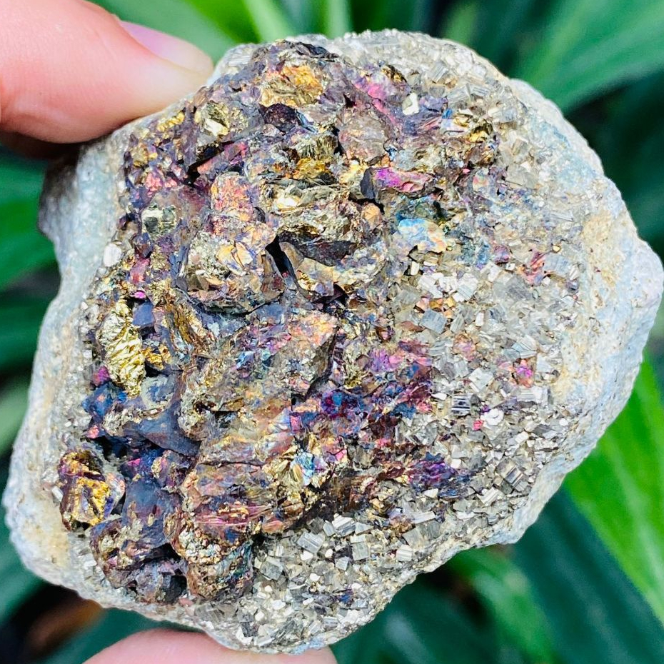 Natural - Chalcopyrite Peacock Multicolor Pyrite MIneral Block | Shopee ...