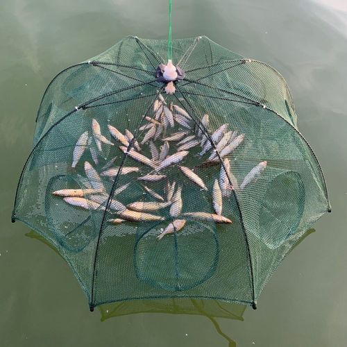 Bingolife Trap Bubu Umbrella Fish Net Umbrella Bubu Small Scale Bubu ...