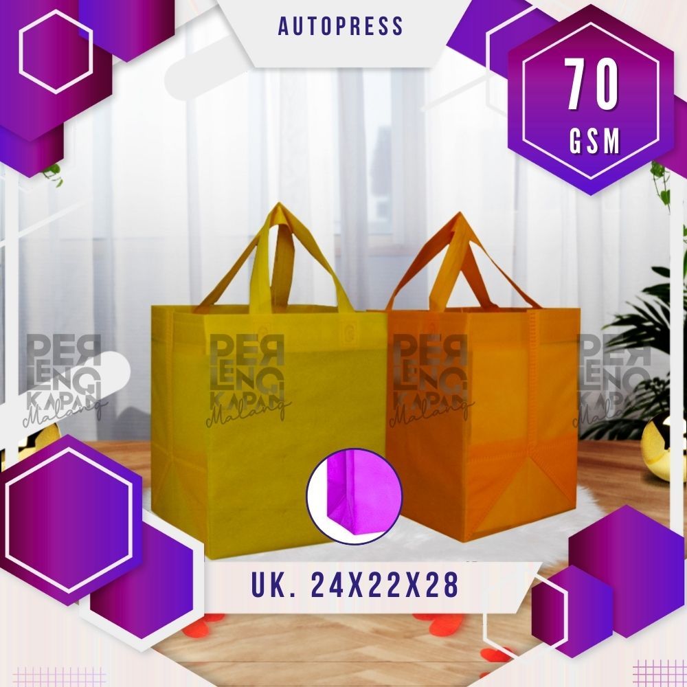 Autopress Box 70GSM Spunbond Goodie Bag Box Bag 24x22x28 Promotional ...