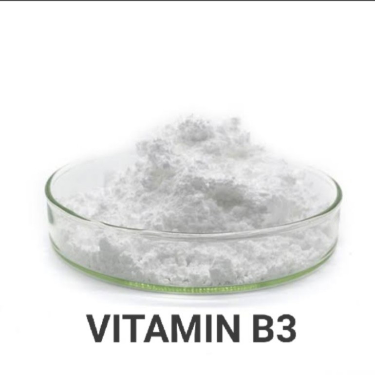 Niacinamide / Nicotinamide / Vitamin B3 Powder 500 Grams | Shopee ...