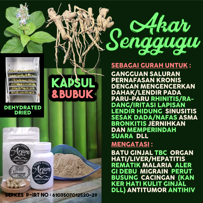 Dehydrated Dried Capsules Powdered Senggu Srigunggu Root Medicine ...