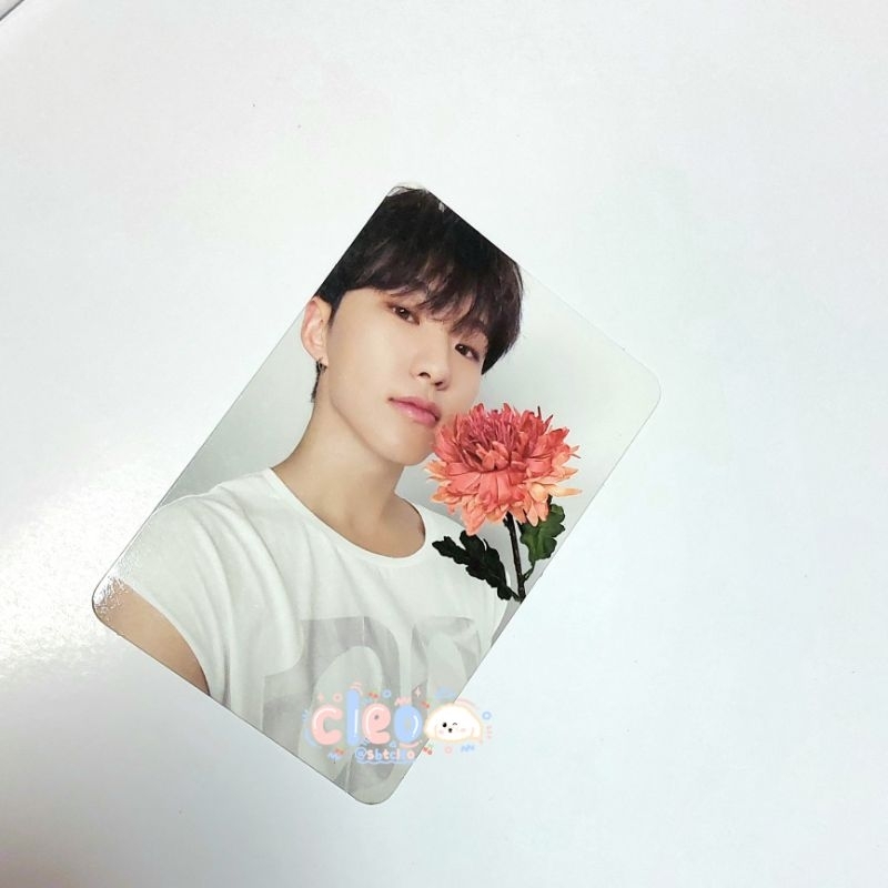 PC PHOTOCARD HOSHI 17 RIGHT HERE SEVENTEEN HOSHI FLOWER | Shopee ...