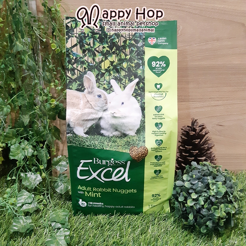Burgess Rabbit pellet Adult Mint repack 500 gr And fresh pack 1.5 kg ...
