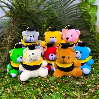 Mini Graduation Doll/Bear Graduation/Sitich Graduation/Stitch ...