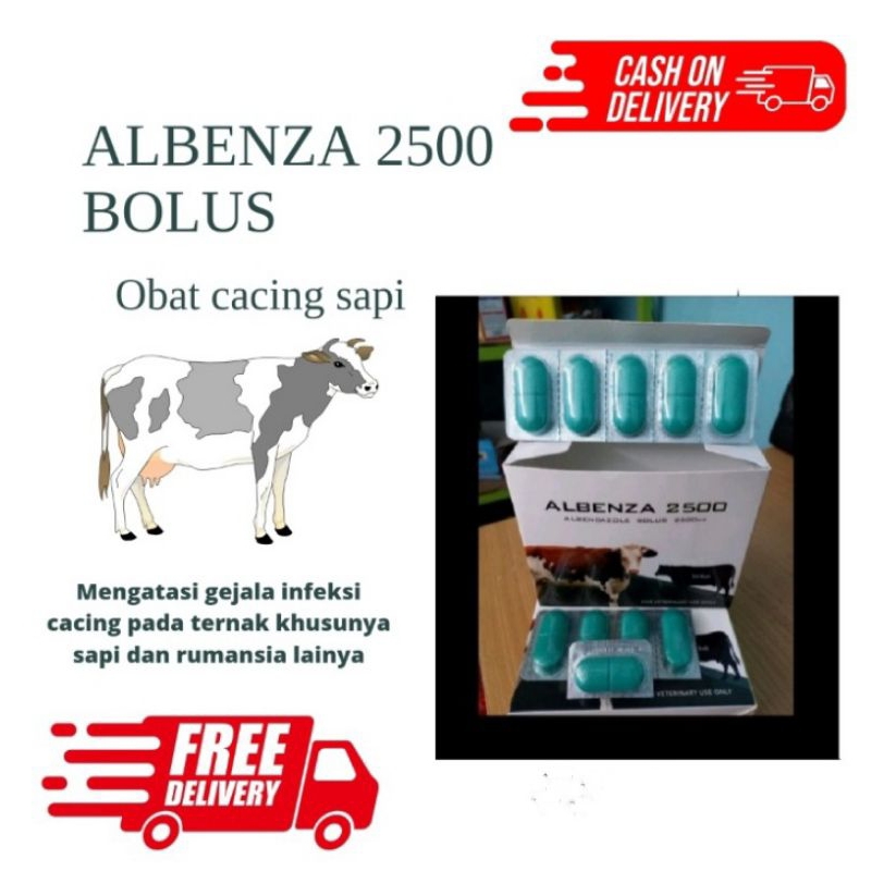 Albenza 2500 Beef Worm Medicine (One strip Contains 5 bolus) | Shopee ...