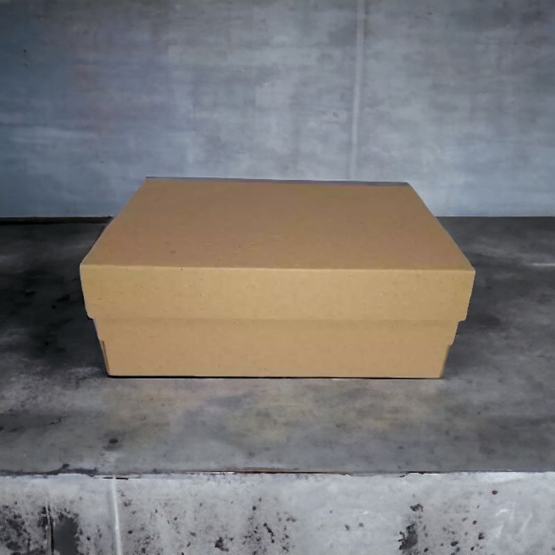 JUNIOR BROWN PLAIN SHOE BOX - PLAIN KRAFT BOX | Shopee Philippines
