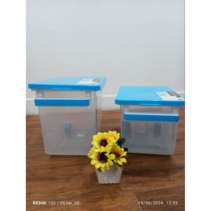 Ready rice box Rizzo | Shopee Philippines