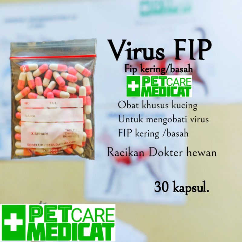 Special Medicine For Wet fip virus Dry fip Medicine Cat fip virus ...