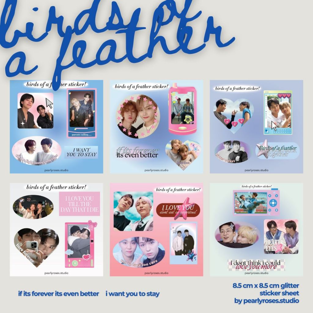 Birds of a feather seventeen duo sticker (minwon, verkwan, jeongcheol ...