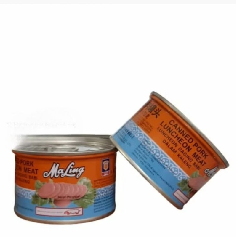 Tts Thief Pork Canned 170gr Golden Pork Canned Ham | Shopee Philippines