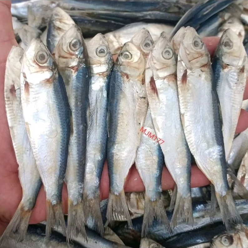 Superan Special tamban Salted Fish 1kg | Shopee Philippines