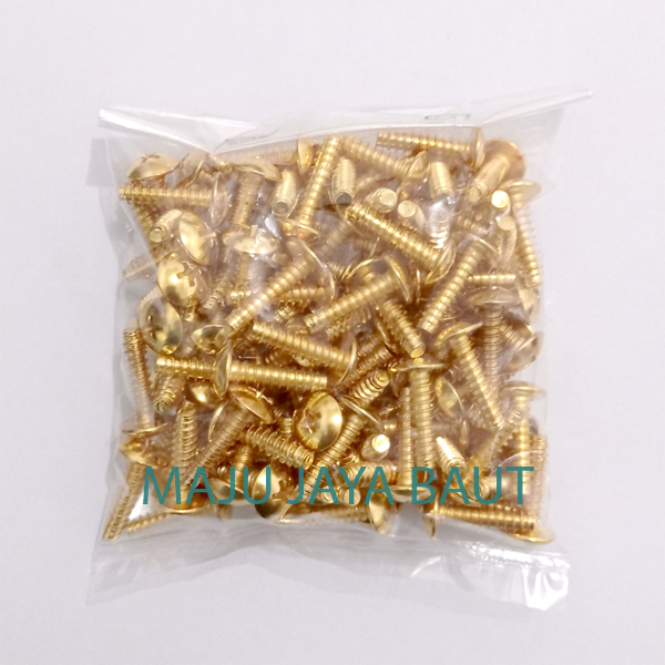 1 Pack of Honda 5x20 Gold Filter Bolts / Honda Gold Filter Bolts ...