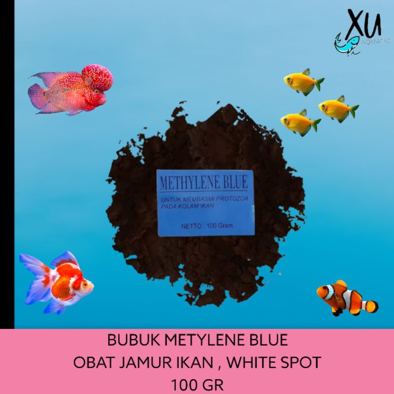 Methylene BLUE/METHYELE BLUE Powder 100 Grams Pure Without Mixed BLUE ...