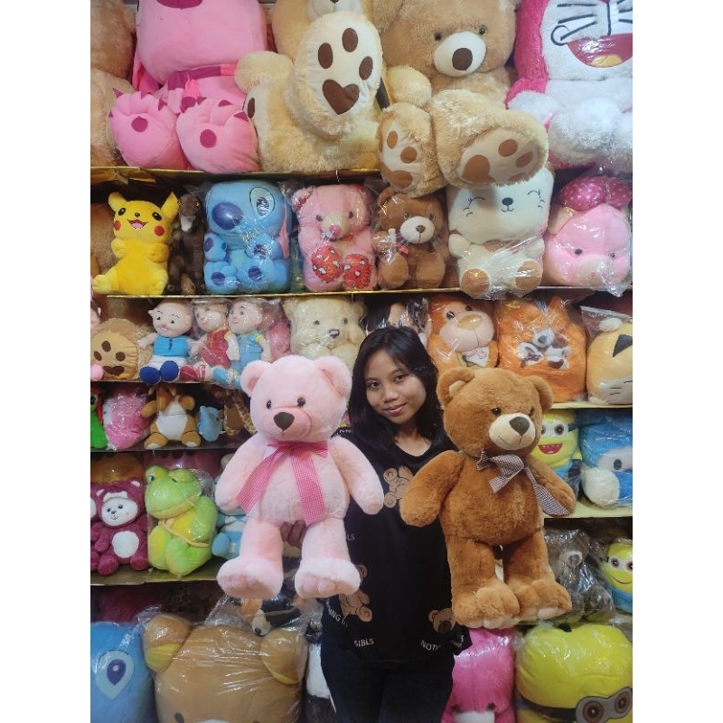 Miniso TEDDY BEAR SOFT Doll Brand SEULGI Imported Quality Doll, GUYS ...